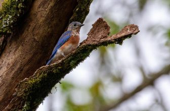 How to Use Microsoft Access - How 2 Use