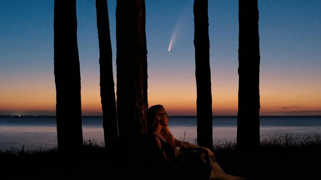 How to Use Bit Comet – How 2 Use